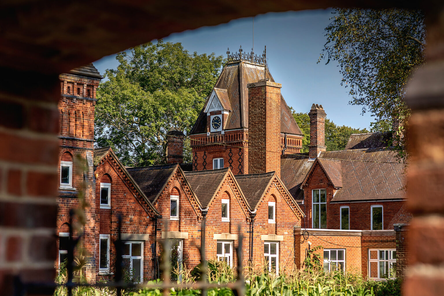 Today - Rayners Penn